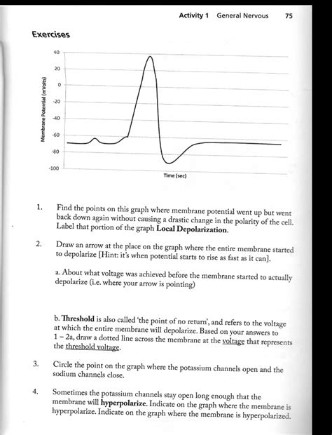Solved Activity 1 General Nervous Exercises 40 20 20 Membrane Potential Mvolts 40 60 80