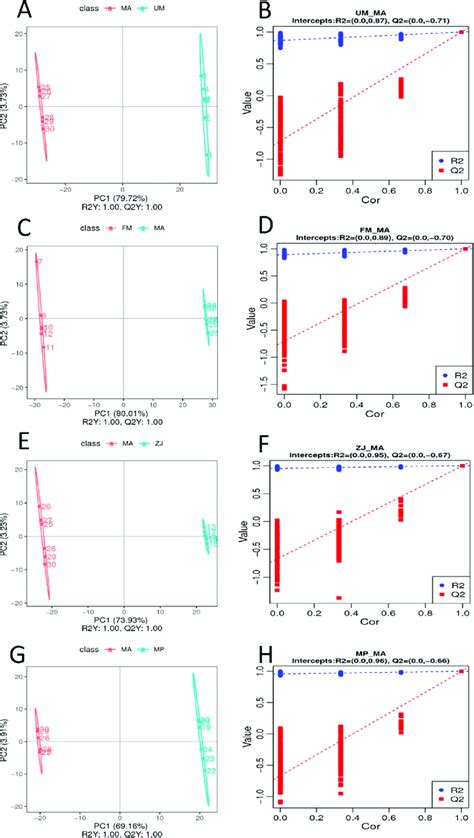Score Plots For The Metabolites Of Uhplc−ms Ms Data A Pls Da Score