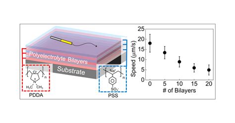 Catalytic Micromotors Moving Near Polyelectrolyte Modified Substrates