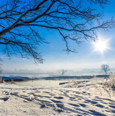 Хороскоп за 29 януари 2024г Този ден ще бъде много успешен за Телците Ще можете да постигнете