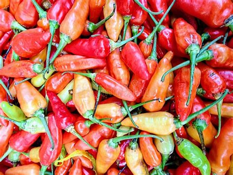 Chilli Pepper Red Green Colour Texture Background Stock Image Image Of Background Chilli