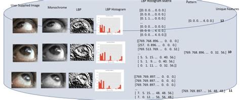 Lbp Feature Extraction For Training Dataset Download Scientific Diagram
