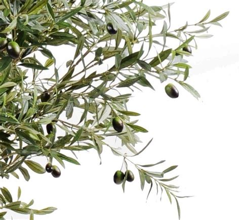 Olivier Buisson Artificiel 292 00