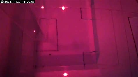 mouse detection object detection dataset and pre trained model by harsya