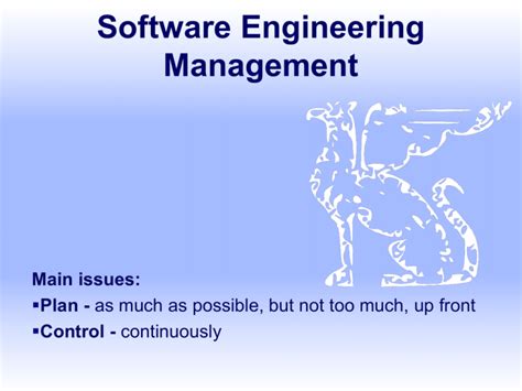 Software Engineering Management Main Issues Plan