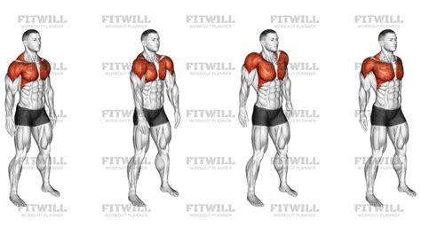 Shoulder Circle Exercise Guide Techniques Benefits How To Muscles