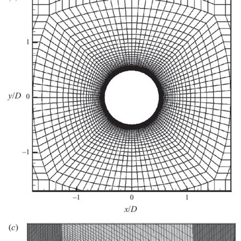 details of the computational mesh a the two dimensional mesh with