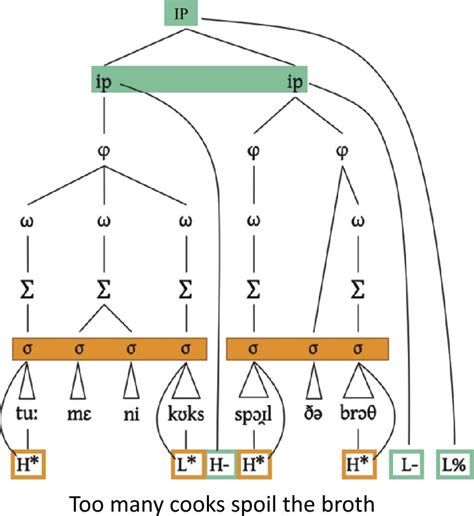the prosodic hierarchy with head association in orange and edge