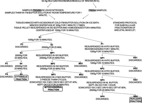 Organizational Chart Of The Subcellular Fractionation Modified Download Scientific Diagram