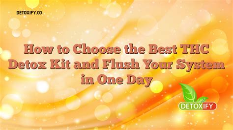 How To Choose The Best Thc Detox Kit And Flush Your System In One Day