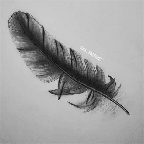 How To Draw Realistic Feather Realistic Drawings Sketch Instagram Realistic Sketch