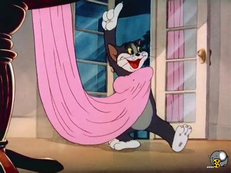 کارتون تام و جری موش تنها فیلو