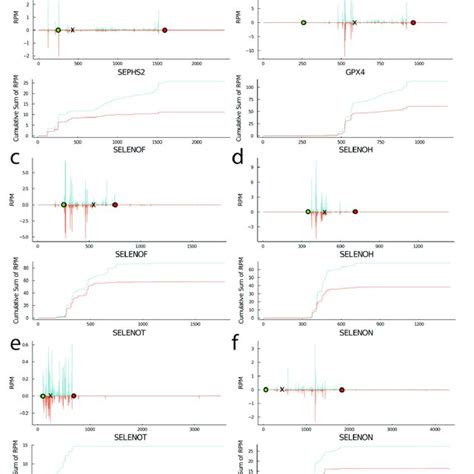 Ribosomal Profiling In Secisbp2 Mutant Hap1 Cells A Sephs2 B Gpx4 Download Scientific