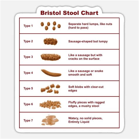 Free Printable Bristol Stool Scale Chart Pdf Printables For Everyone