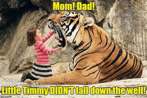Lassie Memes And S Imgflip
