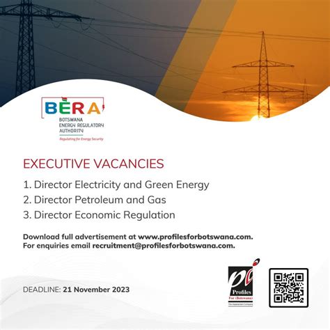 Profiles For Botswana On Linkedin Scan The Qr Code Below Or Visit