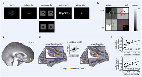 8 neural coding of expected reward value a simple reward providing