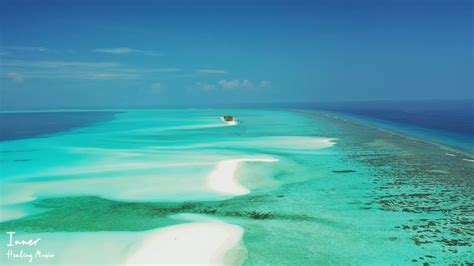 마음을 진정시키고 영혼을 기쁘게 합니다 🎵 아름답고 부드러운 힐링음악 마음이 편안해지는 음악 Youtube