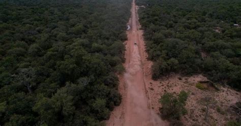 Cómo Visitar El Parque Impenetrable En Chaco Opciones De Alojamiento