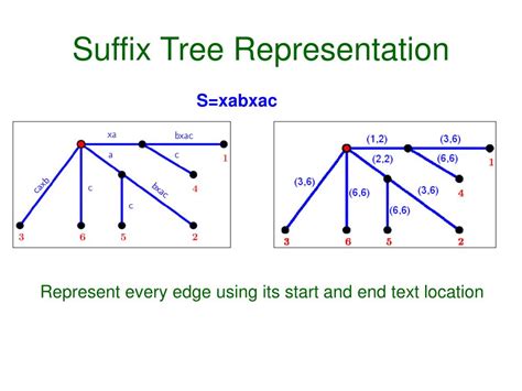 PPT Suffix Tree PowerPoint Presentation Free Download ID