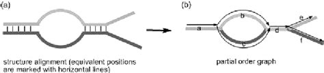 Pog Representation Of Multiple Structure Alignment Only Two Structures