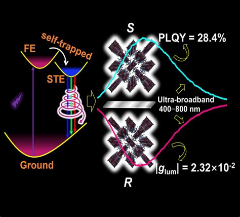 Cnr Spin White Circularly Polarized Luminescence In Chiral 1d Double Chain Perovskites