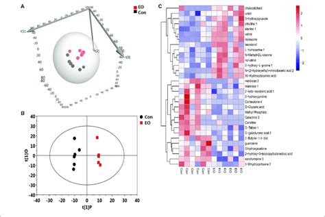 3d Pca Score Map Opls Da Score Plots And Hierarchical Clustering Download Scientific