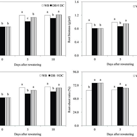 Biomass And Root Shoot Ration In The Exp 1 Different Letters Download Scientific Diagram