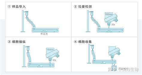 科研仪器｜单细胞拉曼光镊分选仪 知乎