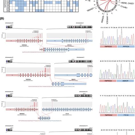 Tmprss2 Fusion Transcripts Detected In Clinical Prostate Tissue Rna Download Scientific Diagram