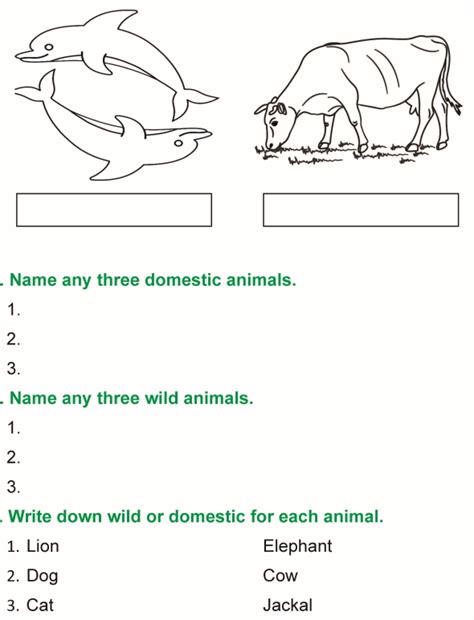 1st Grade Grade 1 Science Worksheets