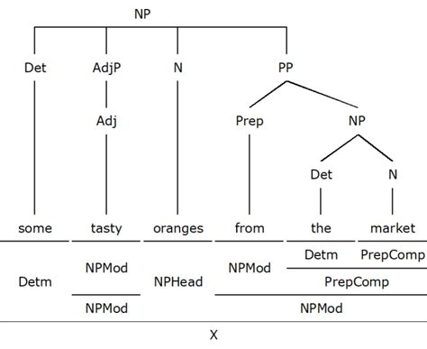 Grammatical Functions Of English Nouns And Noun Phrases LinguisticsGirl