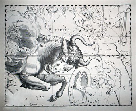 Taurus The Constellation Directory