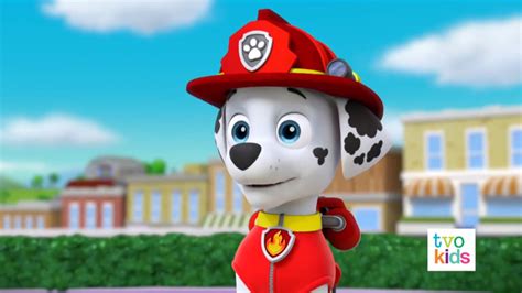 Marshall Paw Patrol Wallpaper Marshall Paw Patrol Wallpapers Top Free