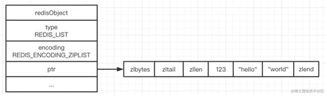 Redis 的数据结构总结 腾讯云开发者社区 腾讯云
