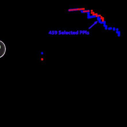 Evaluation Of PPI Inference For Two AP MS Representation Models A Download Scientific