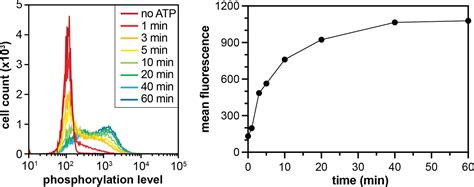figures and data in high throughput profiling of sequence recognition