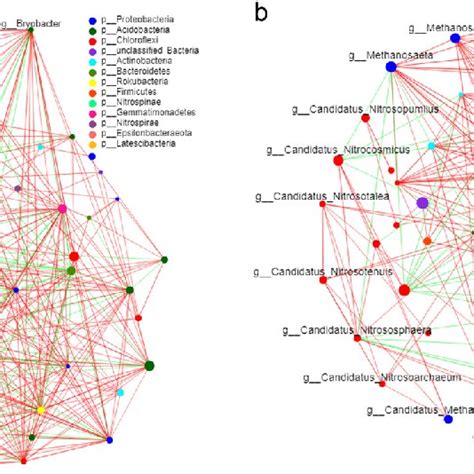 Co Occurrence Networks Of Bacterial A And Archaeal B Taxa At Genus