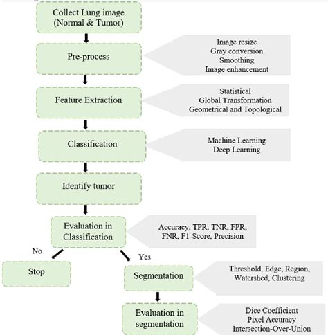 Figure 1 From A Survey On Artificial Intelligence Based Lung Tumor