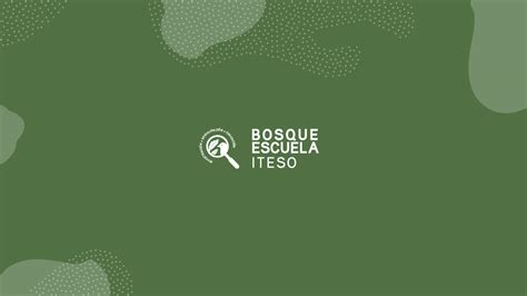 Bosque Escuela Iteso Behance
