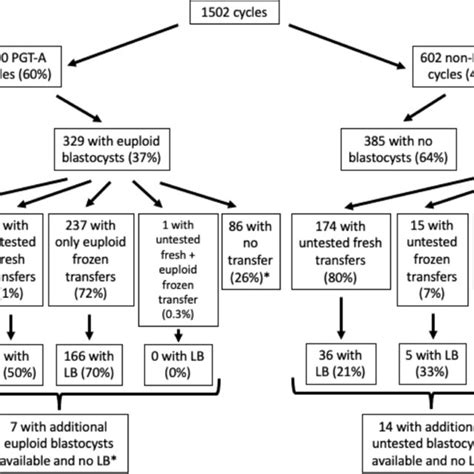 Overview Of In Vitro Fertilization Cycles Embryo Transfers And Live Download Scientific