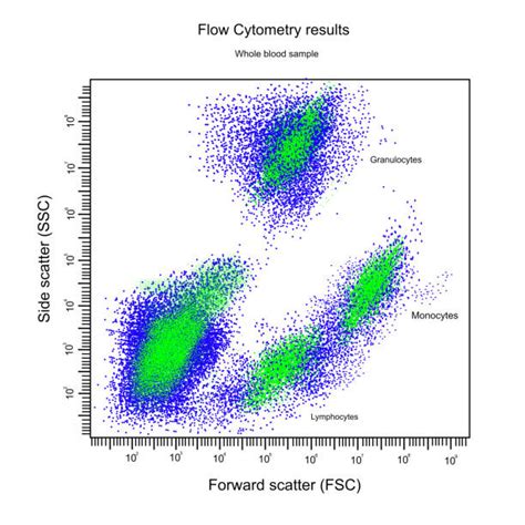 Flow Cytometry Animation