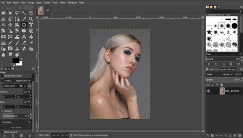 GIMP Review GIMP New Features Benefit