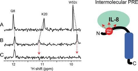 Paramagnetic Relaxation Enhancement Of Membrane Proteins By Incorporation Of The Metal Chelating