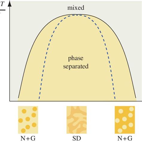 A Schematic Phase Diagram Showing The Relationship Between The