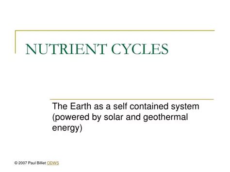 PPT NUTRIENT CYCLES PowerPoint Presentation Free Download ID 598701
