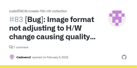 Bug Image Format Not Adjusting To H W Change Causing Quality Issue