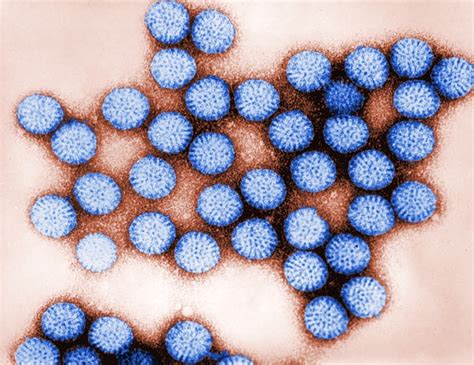Ridding The World Of Rotavirus One Dose At A Time Unicef Usa