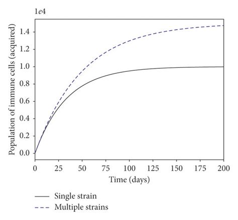 Within Human Dynamics Of Single And Multiple Strain Dynamics Of