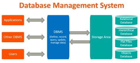 Design Erd And Database Using Oracle Mysql Ms Access By Zeeshanikram786 Fiverr